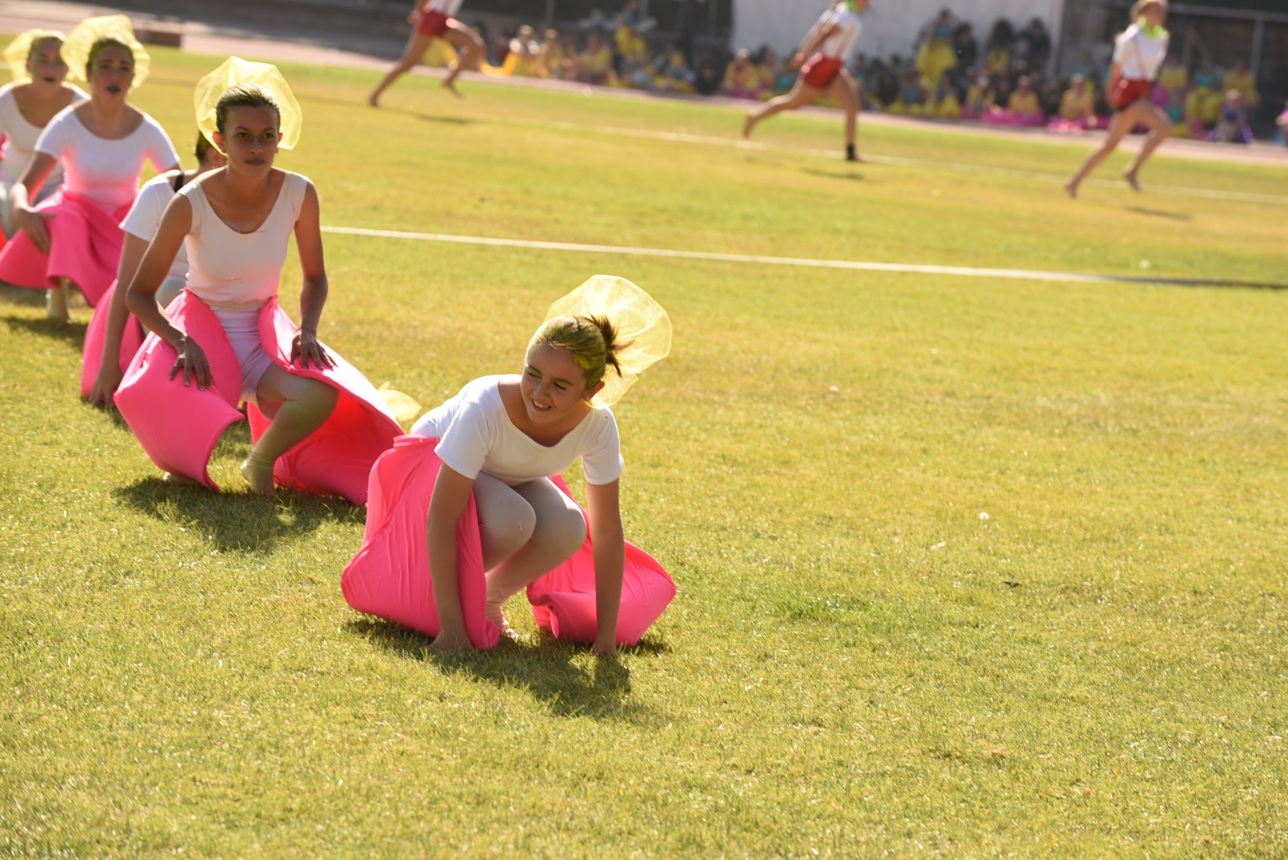 Campeonato de Colores: ¡lo que tienes que saber! - La Maisonnette